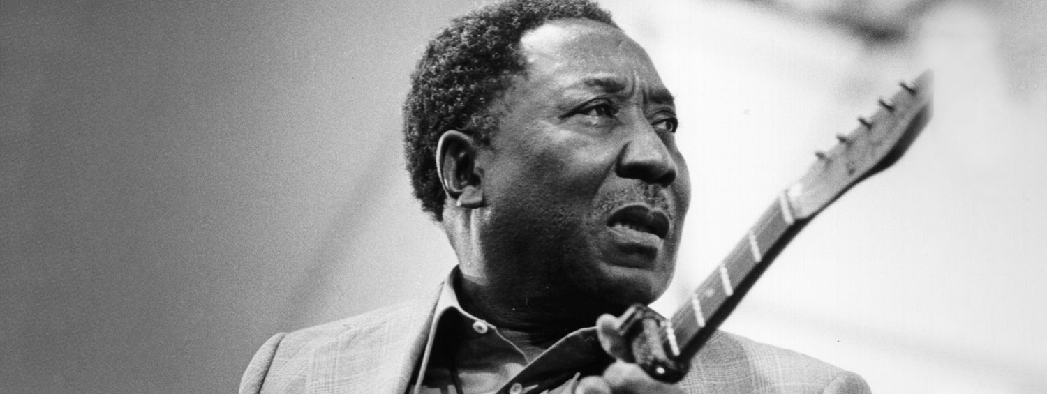 The Vinyl Brew: Muddy Waters - Folk Singer– Vinyl8
