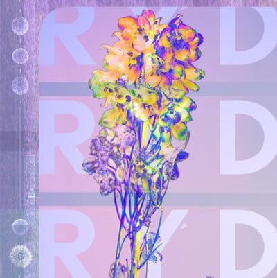 RYD: - RYD [VINYL]– Vinyl8