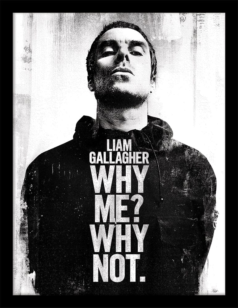 Liam Gallagher - Why Me Why Not 30cm x 40cm [Posters]– Vinyl8